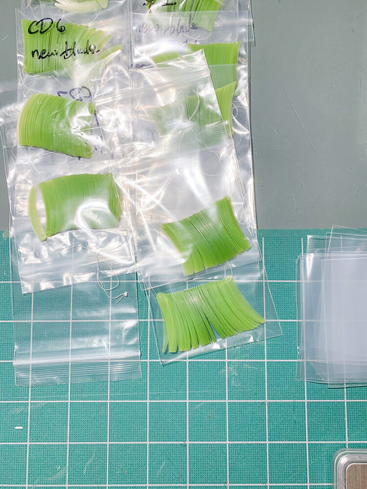 this dress has been crafted using algae-based sequins & carbon-neutral ...