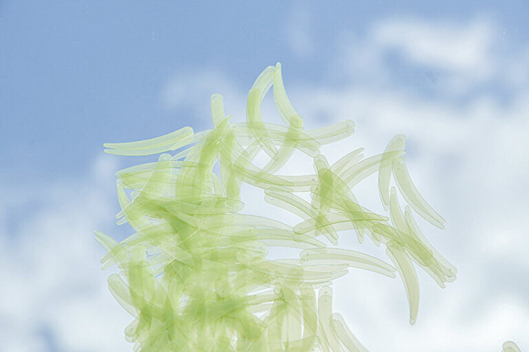 this dress has been crafted using algae-based sequins & carbon-neutral ...