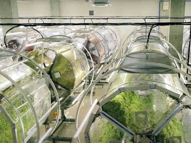 super sprout factory, a completely artificial light type plant opens in ...