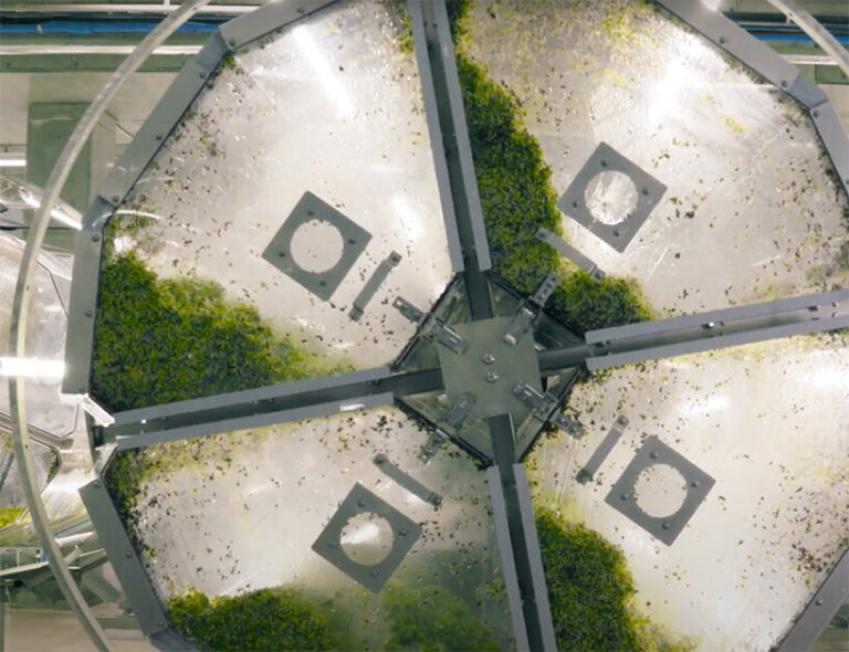 super sprout factory, a completely artificial light type plant opens in ...