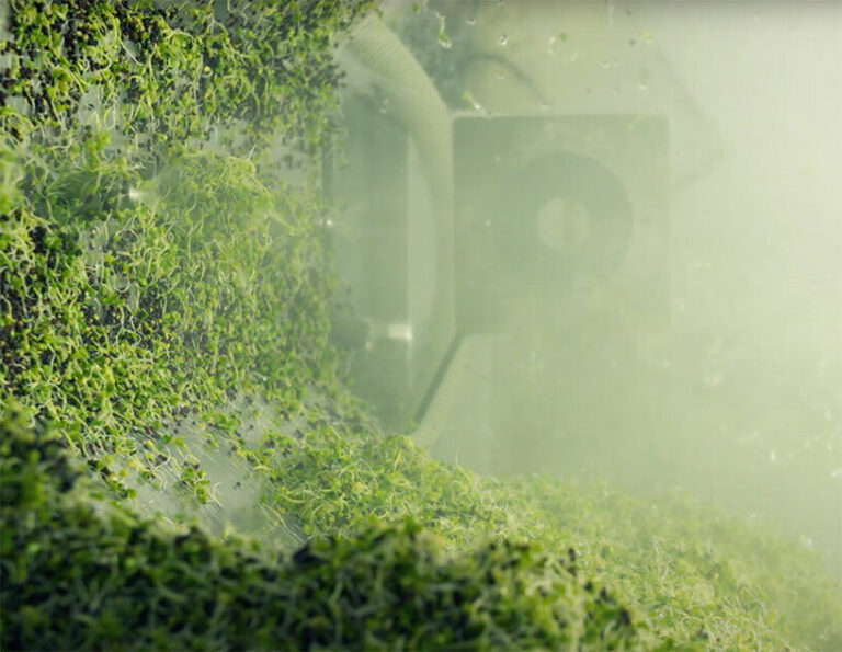 super sprout factory, a completely artificial light type plant opens in ...