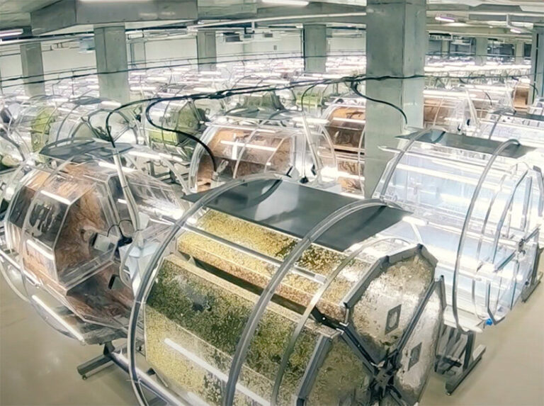 super sprout factory, a completely artificial light type plant opens in ...