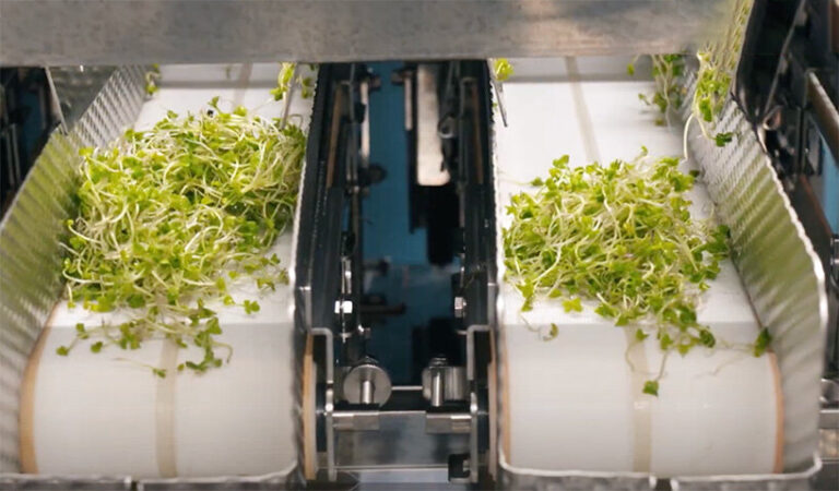 super sprout factory, a completely artificial light type plant opens in ...