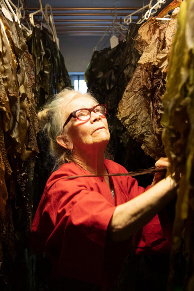 katrín thorvaldsdottir sculpts intricate masks using raw organic kelp ...