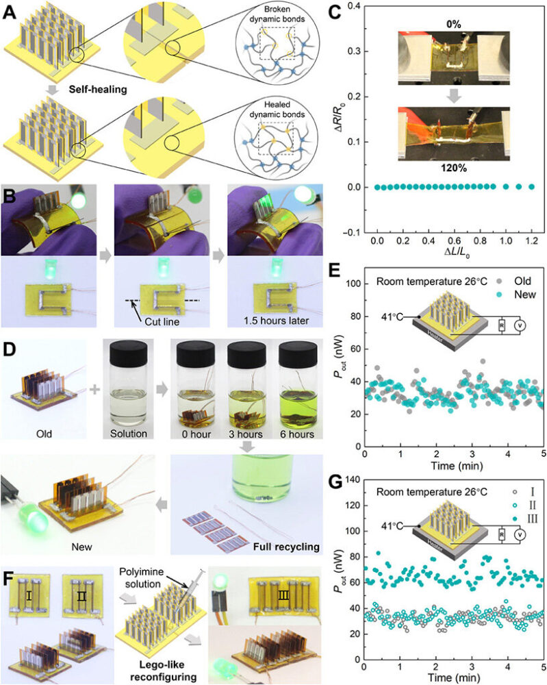 this ring turns your body heat into a battery and regenerates itself