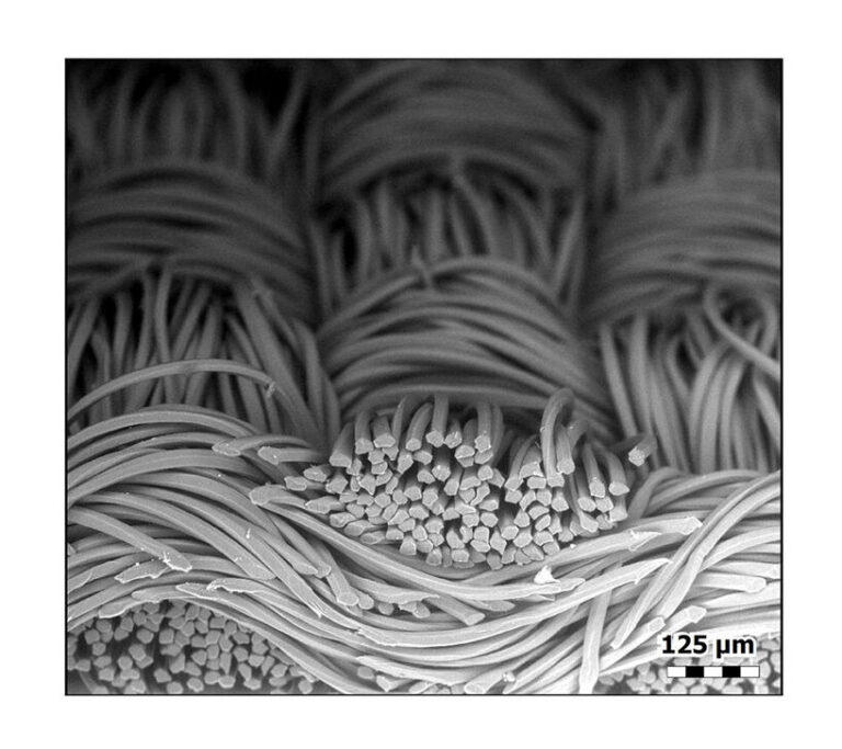 masks under the microscope — impressive images that show which ones ...