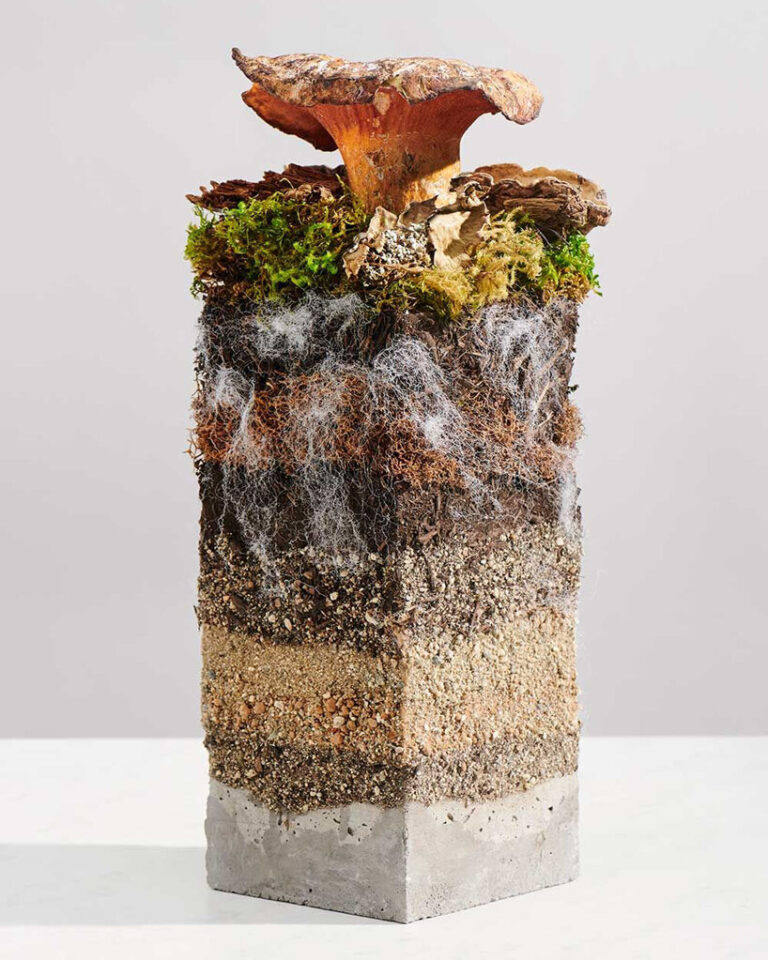 stella mccartney unveils worlds first garments of mylo mushroom leather