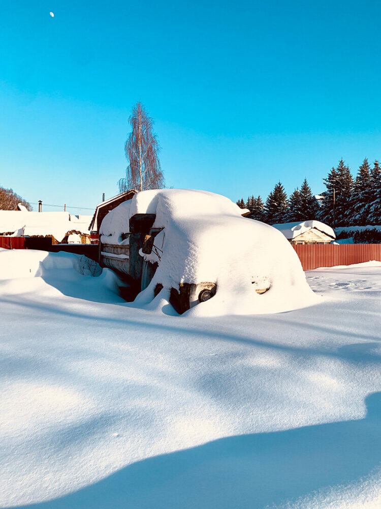 helga stentzel hangs a clothes polar bear to raise awareness on climate ...