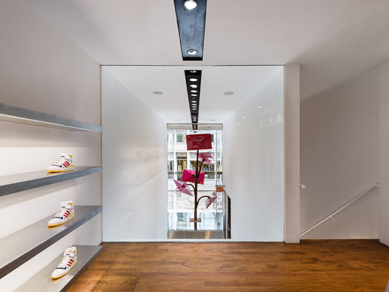 new york sunshine plants massive 'basketball bouquet' in the window ...