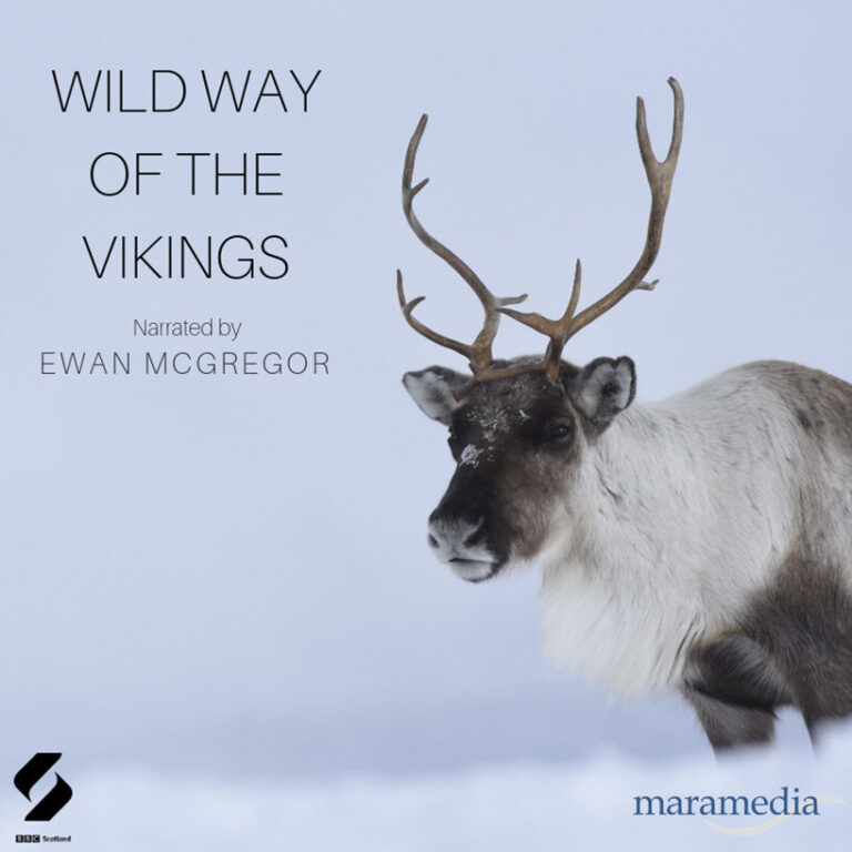 this drone footage shows a reindeer cyclone in all its glory