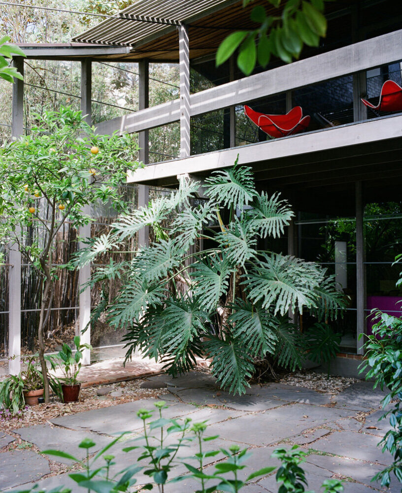 architectural photographers reimagine robin boyd's iconic modernist ...