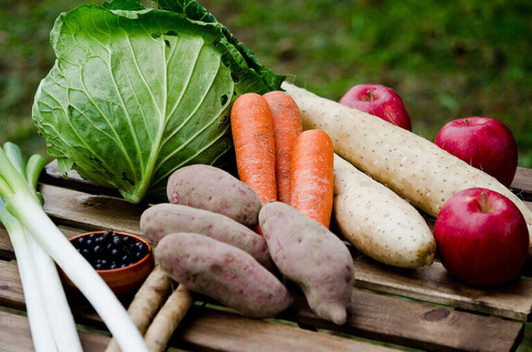 mizuiro.inc's vegetable crayons are safer for children and the environment