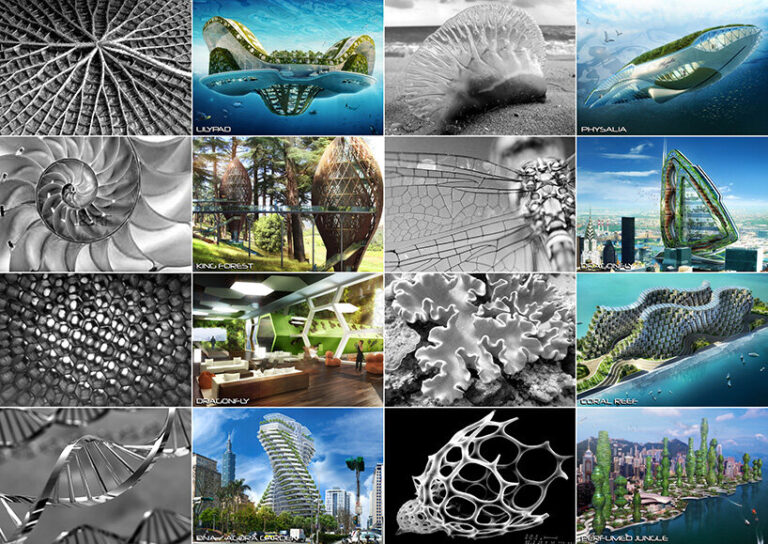 interview: vincent callebaut on building through biomimicry