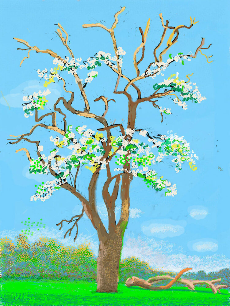 david hockney celebrates the arrival of spring with two exhibitions