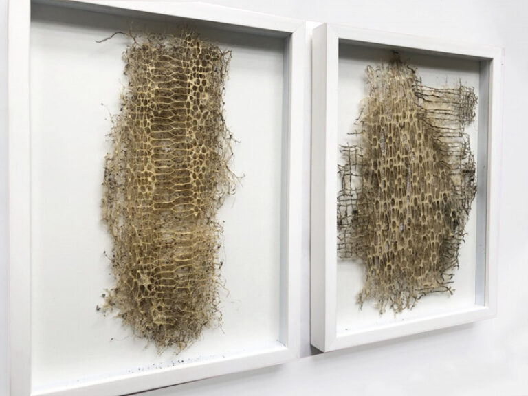 diana scherer's intricate roots could be a carbon capturing eco-material