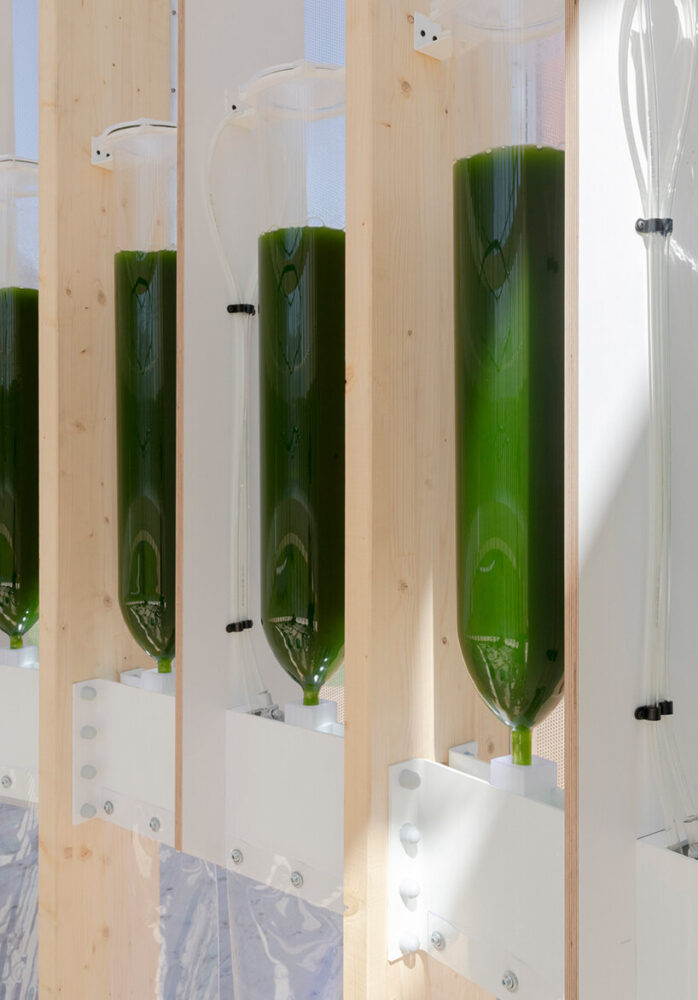 ecoLogicStudio's airbubble playground filters air with micro-algae cultures