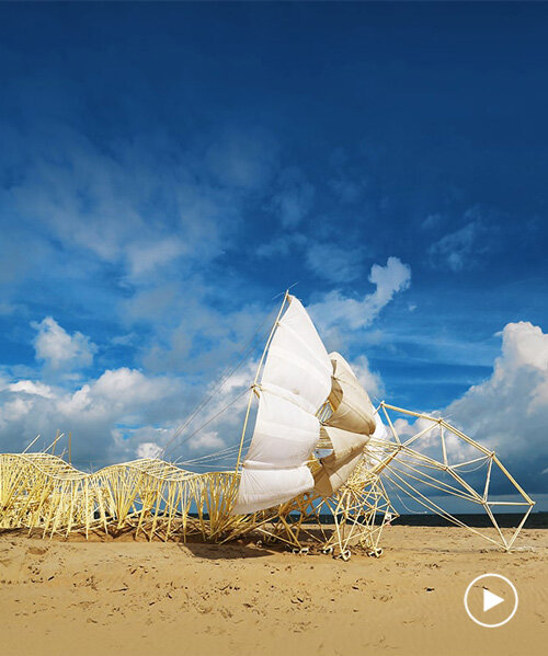 strandbeests by theo jansen | designboom.com