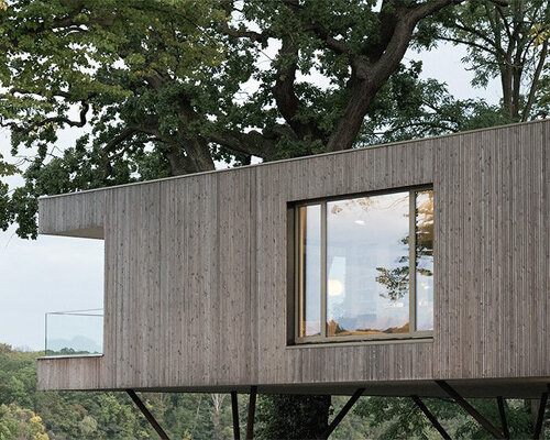 treehouse architecture and design | designboom.com