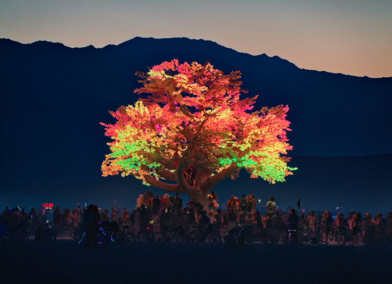 DRIFT's iconic tree of ténéré sculpture will re-plant its roots in texas