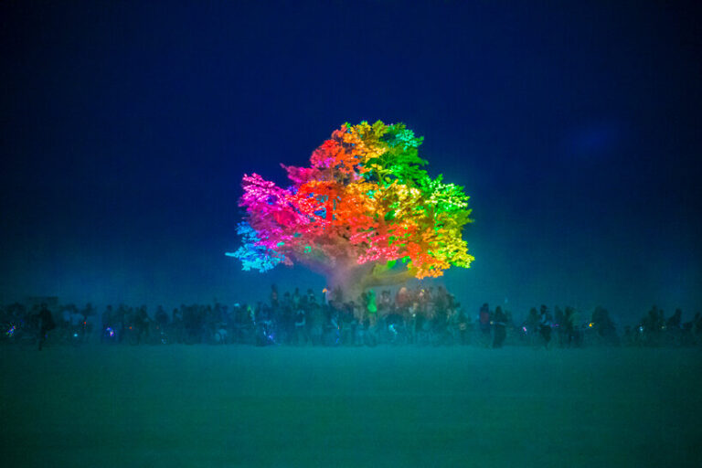 DRIFT's iconic tree of ténéré sculpture will re-plant its roots in texas