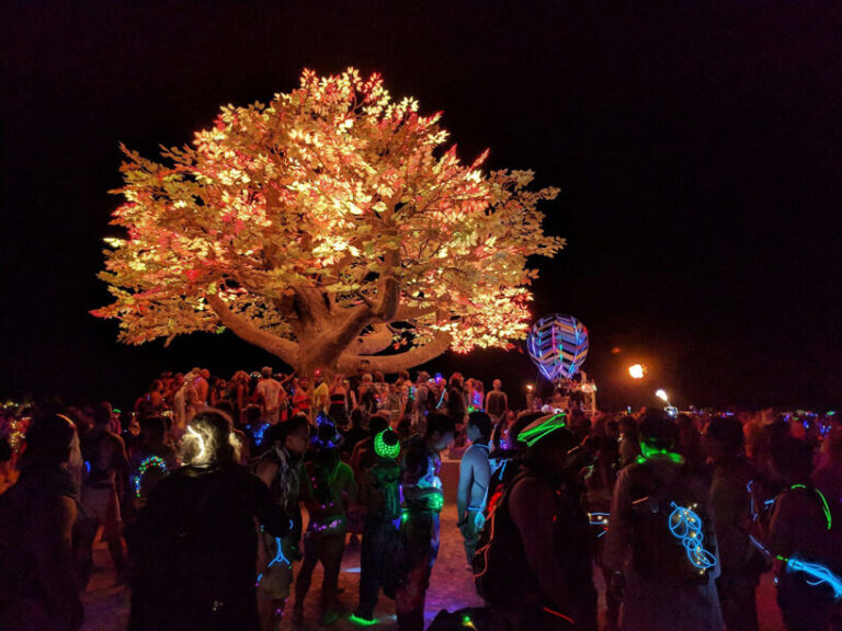 DRIFT's iconic tree of ténéré sculpture will re-plant its roots in texas