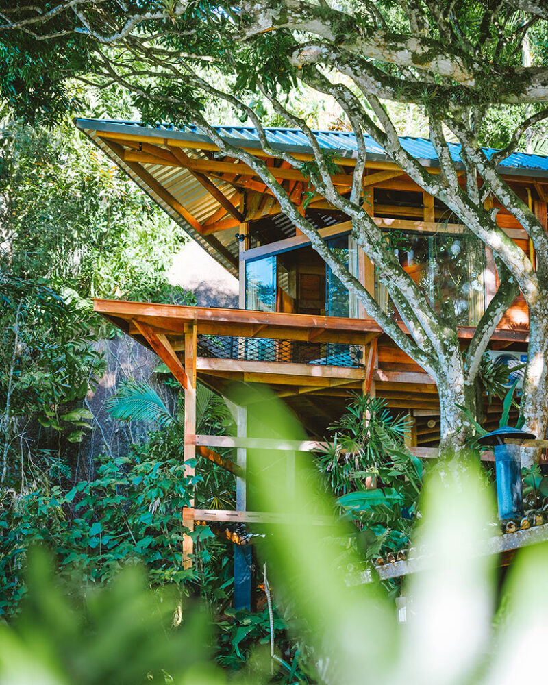 triangular 'casa proa' treehouse floats among coastal brazilian canopy
