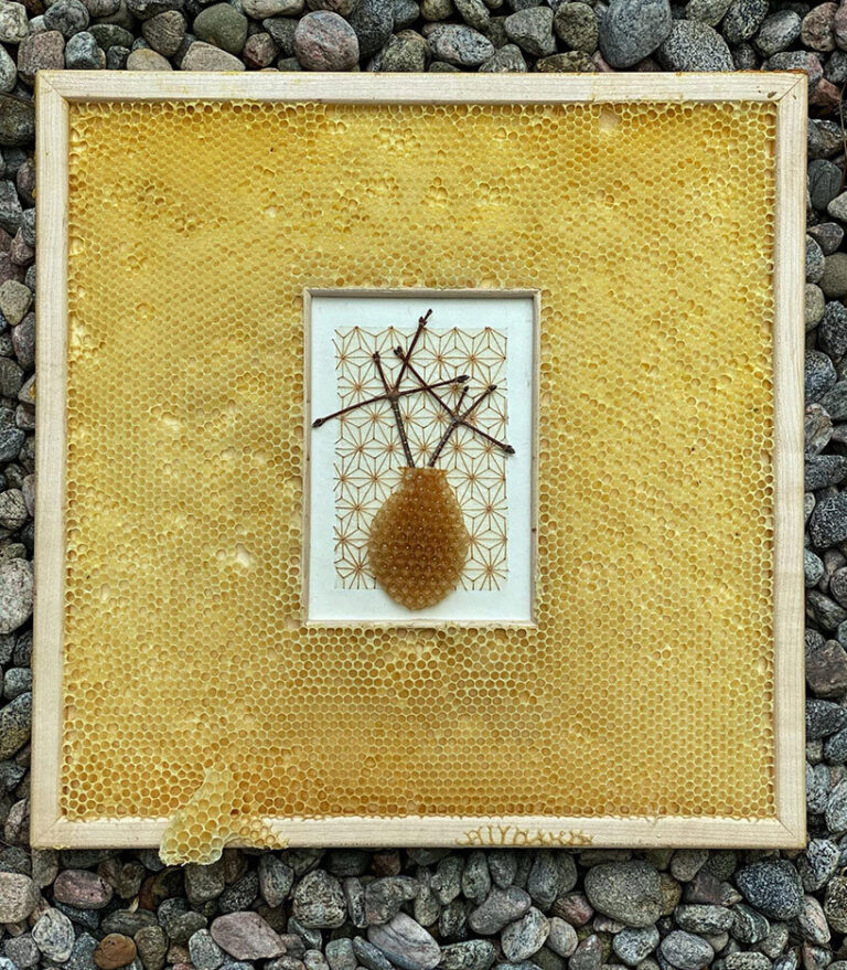collaborating with honeybees, ava roth's artwork is encased in honeycomb