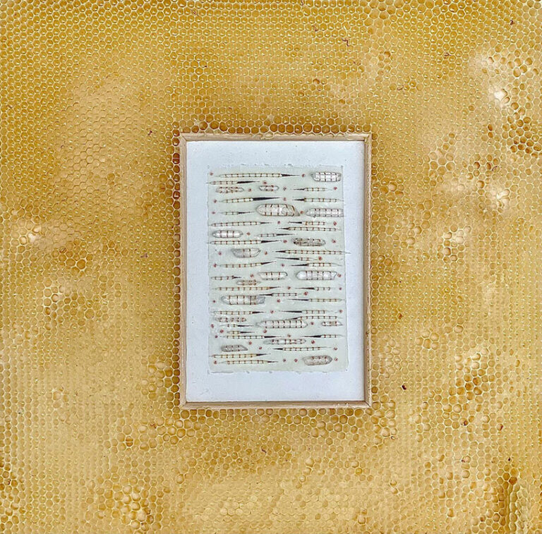 collaborating with honeybees, ava roth's artwork is encased in honeycomb