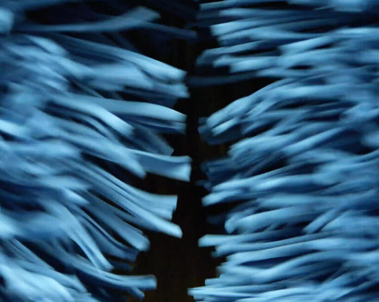 best design newcomer 2021: an interview with isabel + helen