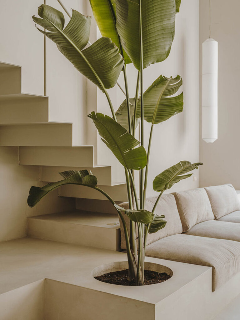 six n. five dialogue with ezequiel pini on its first physical space ...