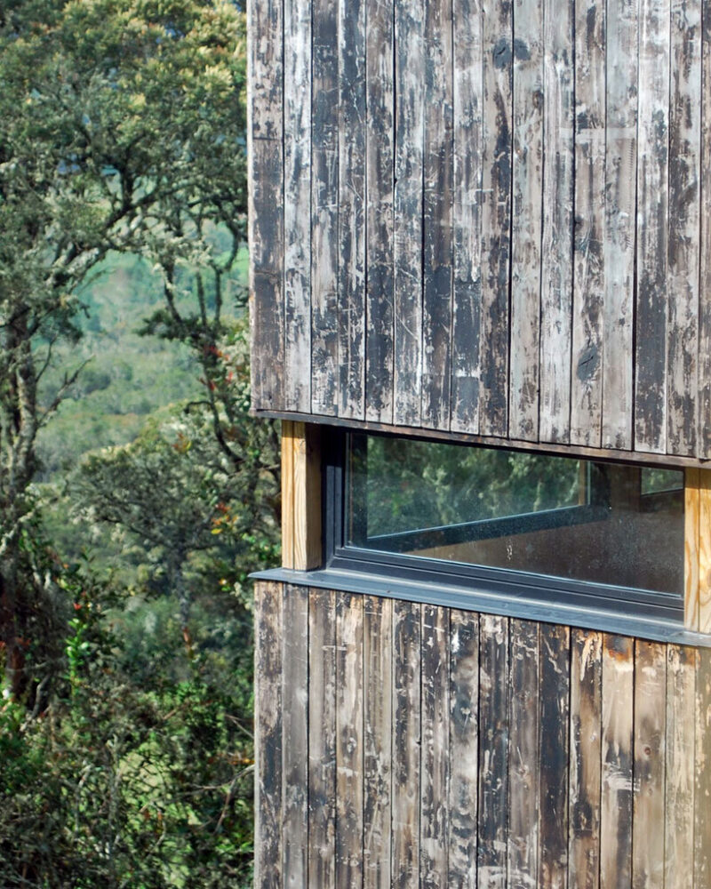 ZITA elevates a twisting house among a cloud forest in páramo, colombia