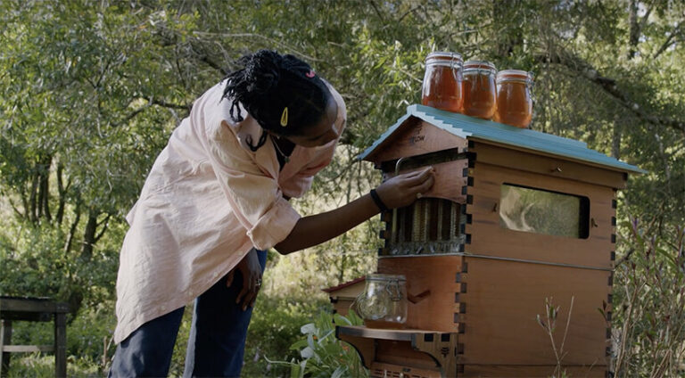 'flow hive' lets you extract raw honey straight from the beehive