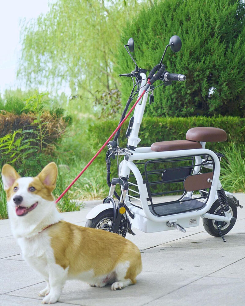 meet mopet: a foldable e-scooter to take your dog for a ride