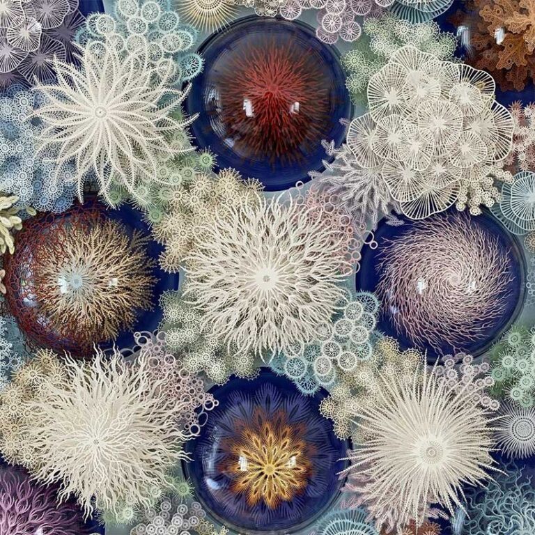 rogan brown intricately cuts-out coral garden capturing nature's fragility