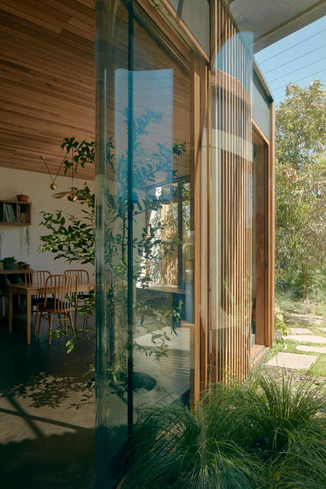 vivarium house in australia is designed to be 'consumed by its gardens'