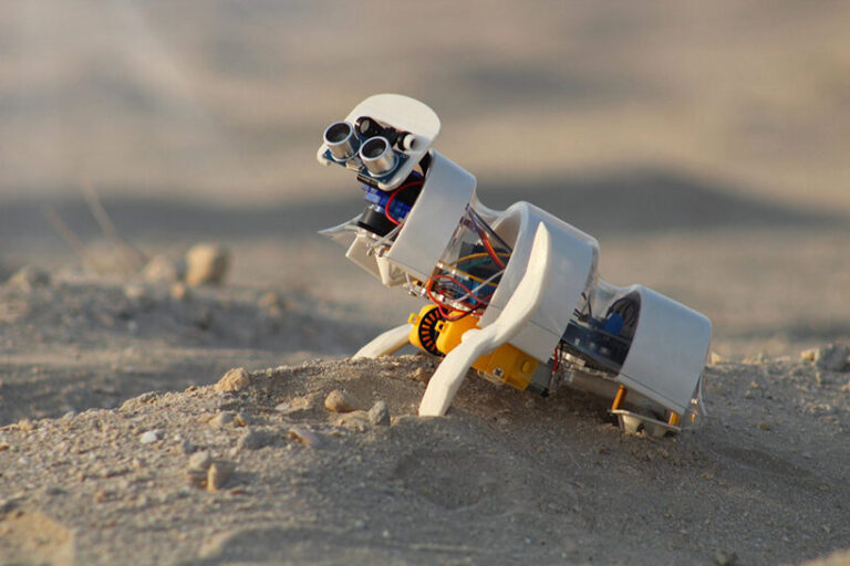 A’seedbot: tiny autonomous robot transforms desert into verdant landscape