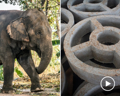 boonserm premthada builds his 'elephant theater' of animal waste bricks