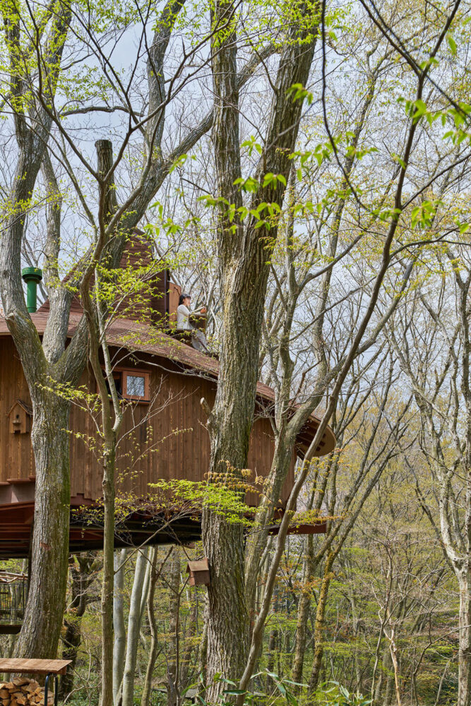 hiroshi nakamura & NAP architects builds treehouse in japan