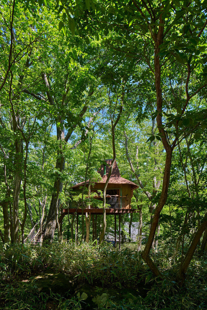 hiroshi nakamura & NAP architects builds treehouse in japan