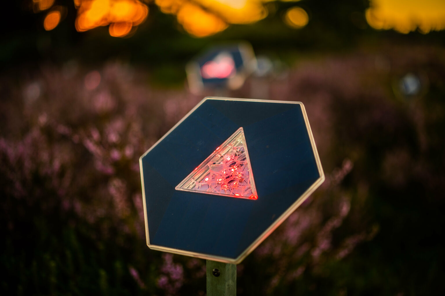 tane is a self-reliant 'digital organism' that can survive in nature ...