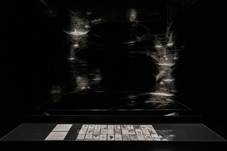 tiktokers loving tomás saraceno's huge spider web installation in NYC