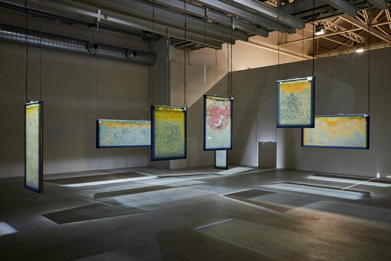 anicka yi brings bacteria to metaspore, a sensorial exhibition at milan ...