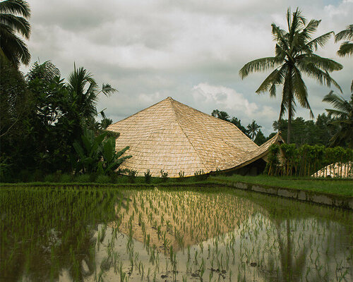 pablo luna studio sculpts 'shell restaurant' from expressive bamboo
