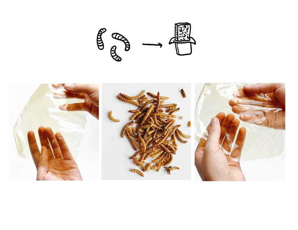 doppelgänger transforms exoskeletons of plastic-eating insects into ...
