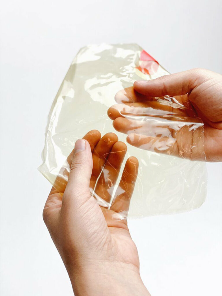 doppelgänger transforms exoskeletons of plastic-eating insects into ...