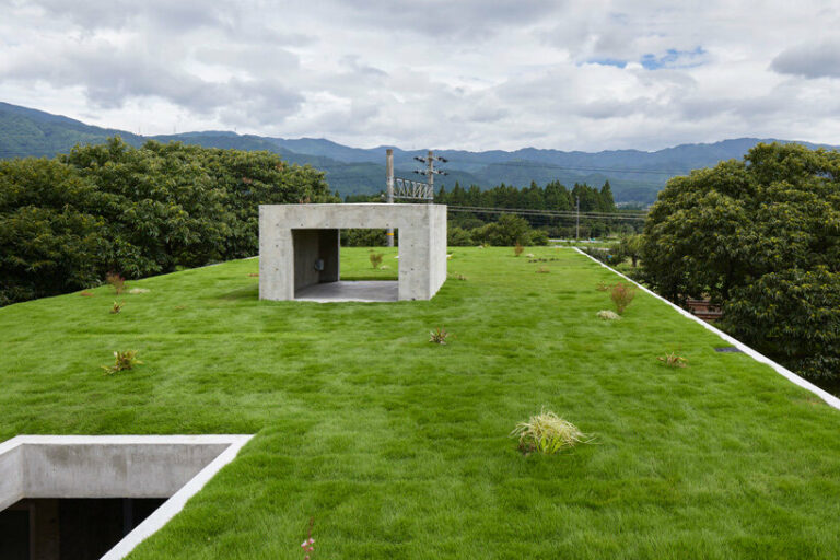 airhouse covers japanese concrete house with habitable green roof