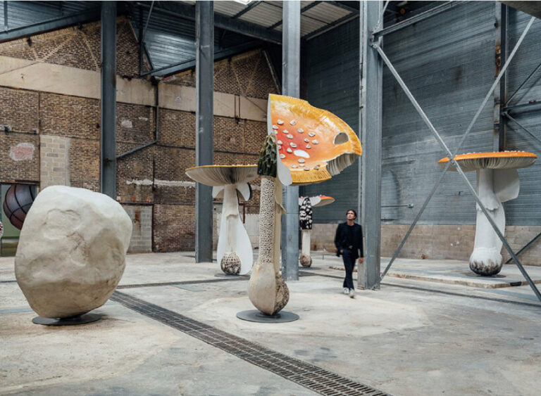 carsten höller replicates poisonous, hallucinogenic mushrooms for ...