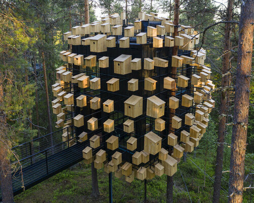 treehouse architecture and design | designboom.com