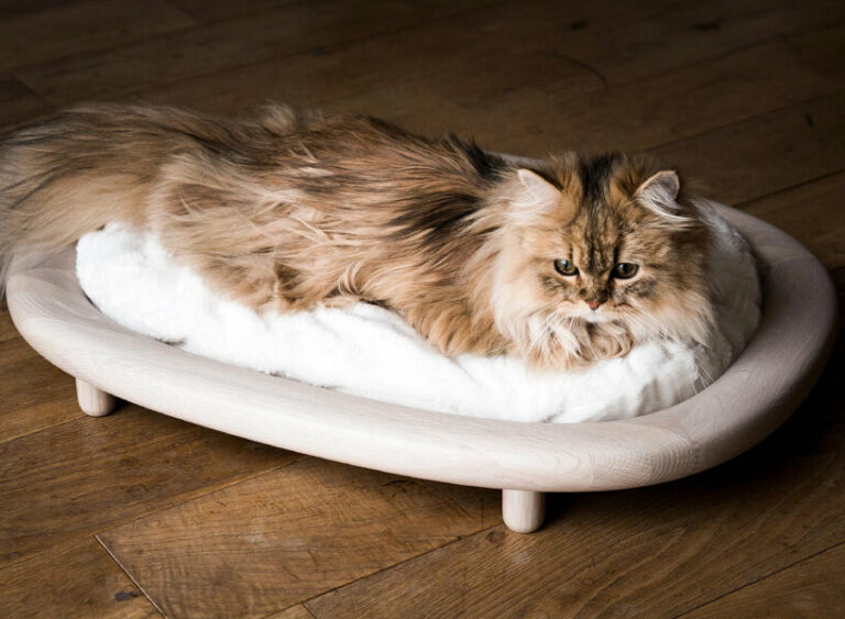 wooden, cushioned mini houses and beds for cats help them relax and ...