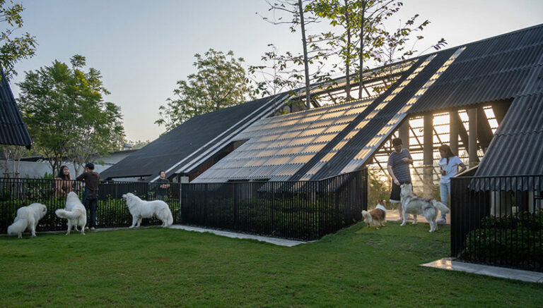 EKAR hybridizes a home for humans and dogs with space for play